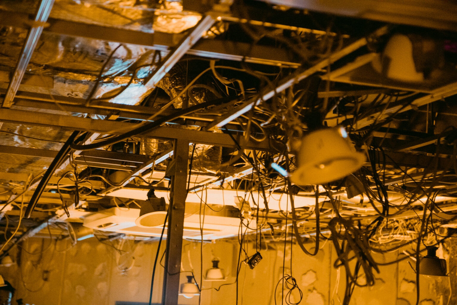 歌舞伎町の新アートプロジェクト第一弾。Chim↑Pom from Smappa!Groupが見出した「奈落」から見上げるものとは ...