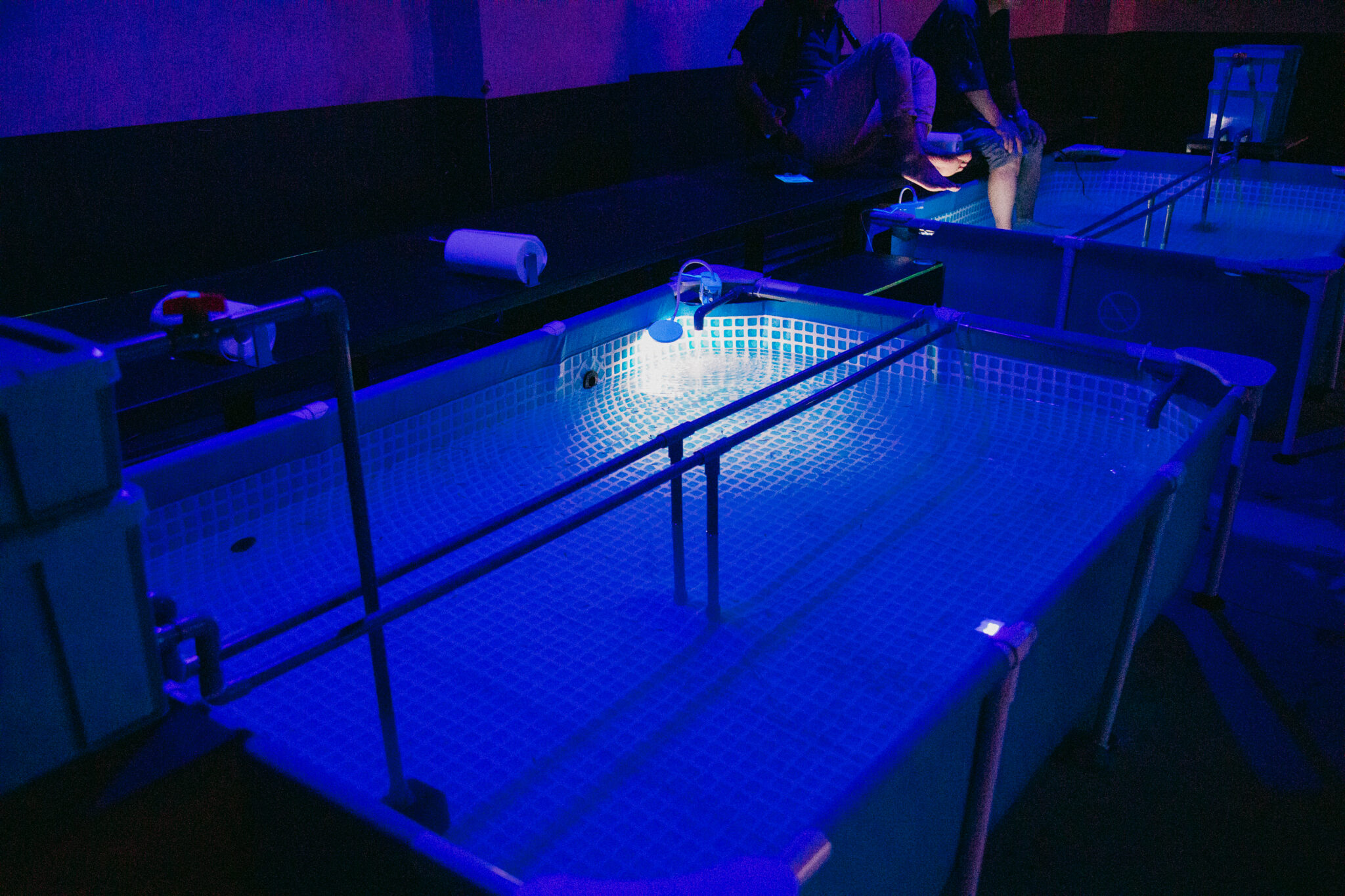 歌舞伎町の新アートプロジェクト第一弾。Chim↑Pom from Smappa!Groupが見出した「奈落」から見上げるものとは ...